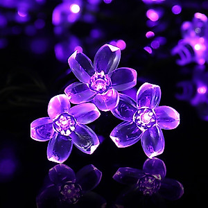 Qedertek Solar String Lights, Cherry Blossom 22ft 50 LED Waterproof Flower Outdoor String Lights for Patio,Lawn,Garden,Holiday,Halloween Solar Lights,and Festivals Decorations (Purple)