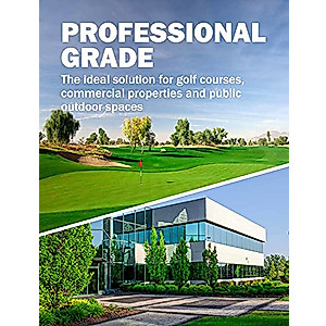 Seymour 20-602 Grass and Shrub Renew Spray Paint, Pristine Green (17 oz.)