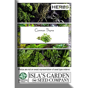 Common Thyme Seeds for Planting, 1000+ Seeds Per Packet, (Isla's Garden Seeds), Non GMO & Heirloom Seeds, Botanical Name: Thymus vulgaris, Great Herb Garden Seeds
