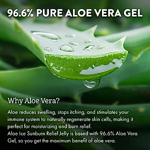 ALOE UP Aloe Ice Sunburn Relief Jelly - Face and Body Organic After Sun Gel - With 96.6% Pure Aloe Vera Gel - Reef Safe - Alcohol- and Fragrance-Free - 4 Oz