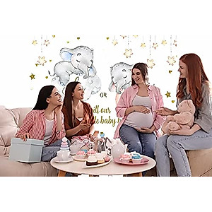 He or She Elephant Gender Reveal Backdrop Soft Cloud and Stars What Will Our Baby Be Boy or Girl Baby Shower Background Decoration Banner 200x150cm W-8192