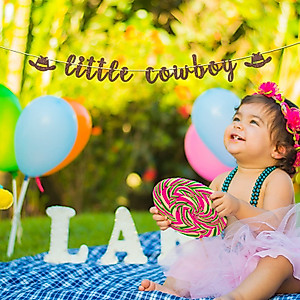 Lingtoolator Little Cowboy Banner - Western Cowboy Banner for Little Boy Birthday, Baby Shower / Gender Reveal / Boy Birthday Party Decorations