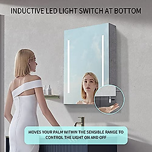 Seenvlog Bathroom Medicine Cabinet with Lights, LED Mirror Medicine Cabinet, Defogger, Dimmer, Memory Function, 20" x 28" Lighted Medicine Cabinet, Surface Mount