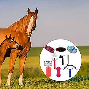 10PCS Horse Grooming Care Kit Professional Horse Cleaning Tool Set Horse Brush Set Horse Grooming Clean Accessories with Brush Curry Comb