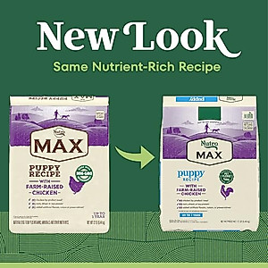 NUTRO MAX Puppy Recipe Dry Dog Food With Farm-Raised Chicken, 12 LB Bag