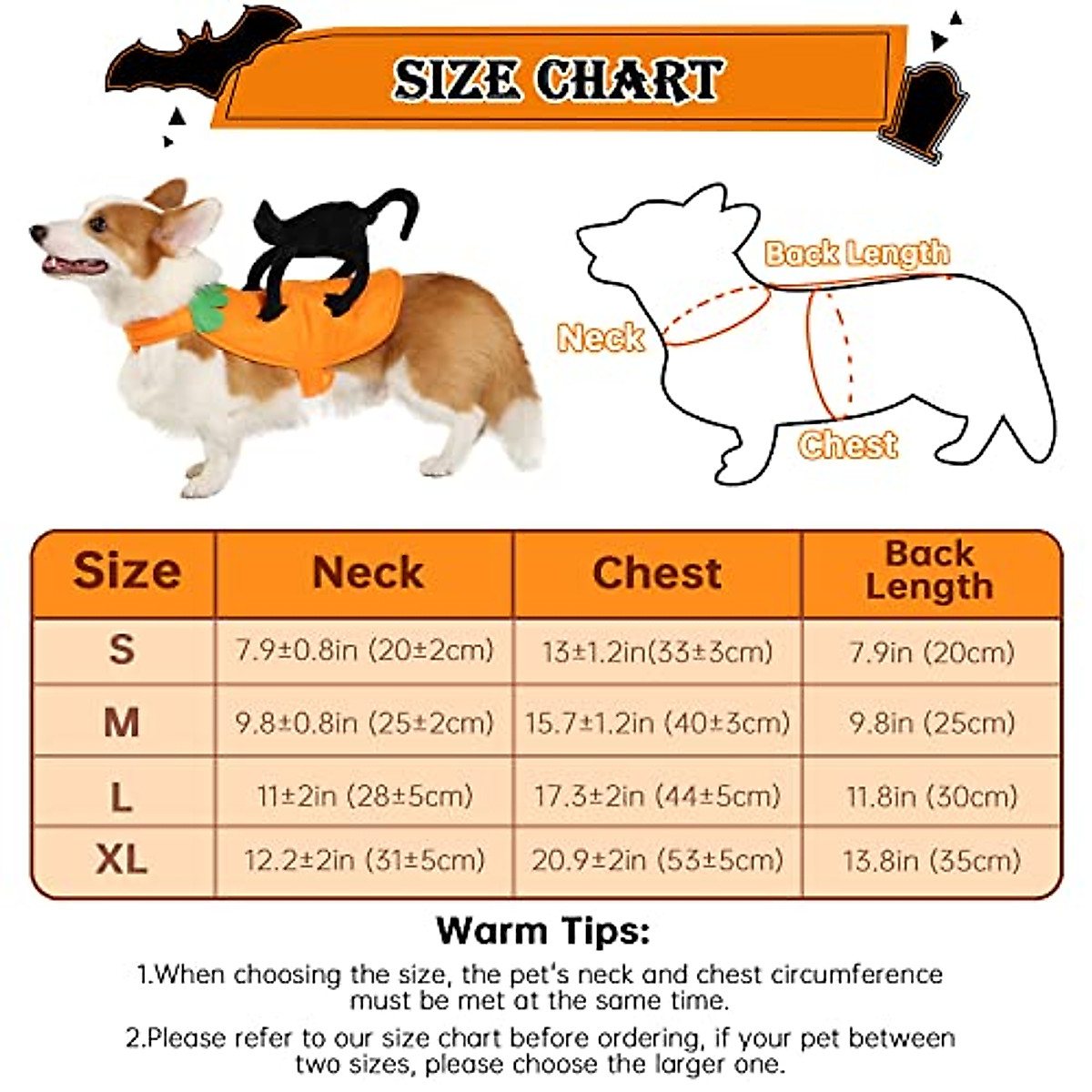 Small Dogs Cats Halloween Costume, Puppy Adjustable Cloths with Black Cat Pumpkin Decoration, Funny Pet Cosplay for Halloween Party, M