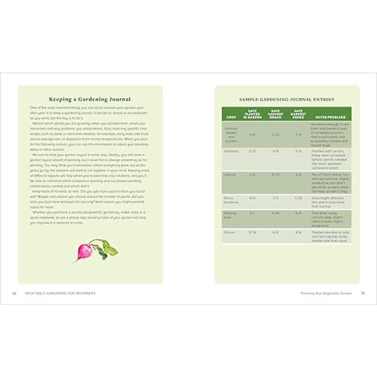 Vegetable Gardening for Beginners: A Simple Guide to Growing Vegetables at Home