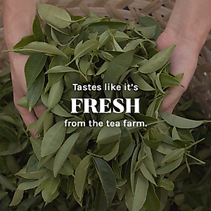 Uncle Lee's Tea Body Slim Tea Dieters Tea, Caffeine Free Chinese Herbal Tea with Senna Leaves and Natural Lemon Zest Flavor Tea Bags (6 Pack - 30 Tea Bags Per Box)