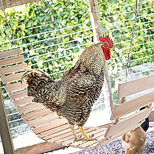 KATUMO Chicken Swing Chicken Perch Chicken Ladder for Coop Natural Wood Chicken Toy Chicken Coop Accessory Bird Swing for Chickens, Birds, Parrots, Total Length 112cm/44.09''