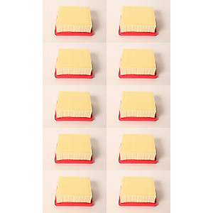10 Pack Air Filter Fits Stihl BR800 BR800C BR800X 4283-141-0300 4283-141-0300B