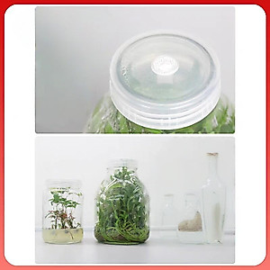 Synthetic Filter PaperStickers, 20 mm, 0.3 μm, Monotub Filter, Filter Discs Mycology - MonotubMushroom Fruiting Chamber Synthetic Filter Disc (30)