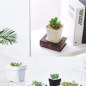 OJYUDD 3inch White Square Plastic Plant Pots with Saucer,24 Pcs Plastic Flower Pots for Plants,Plant Pots with Drainage Hole for Home,Company,Office and Garden(White)