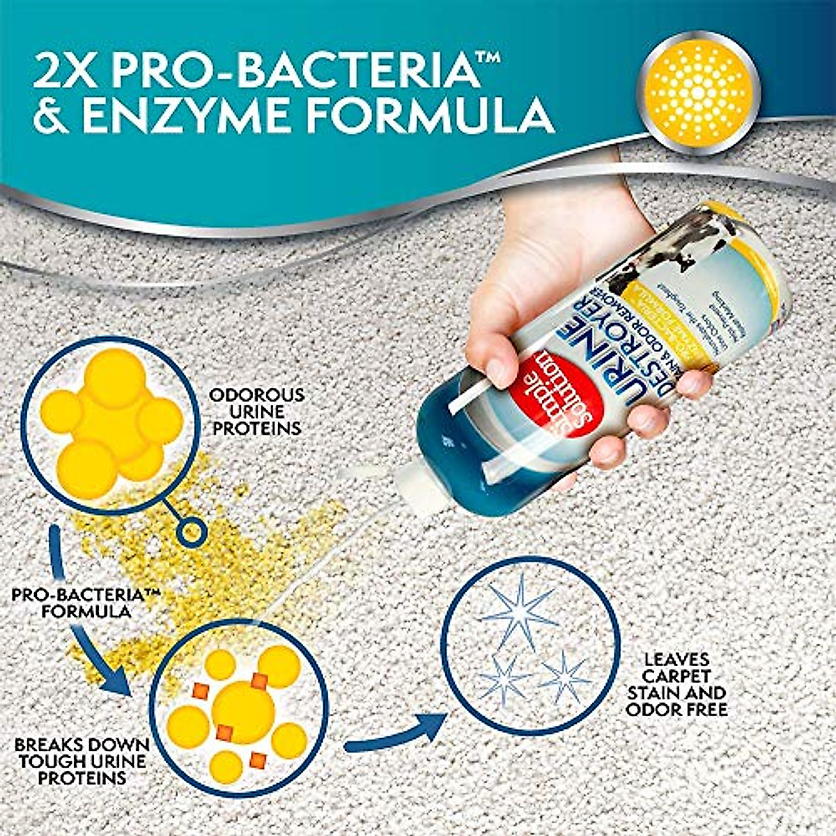Simple Solution Urine Destroyer Enzymatic Cleaner | Pet Stain and Odor Remover with 2X Pro-bacteria Cleaning Power | 32 Ounces