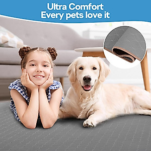 Phroun Washable Pee Pads for Dogs, 36x54 Inch- 1 Pack Superior Reusable Puppy Pads Pet Training Pads –100% Waterproof Dog Pee Pad for Dogs, Cats, Bunny & Senior, Dog Mats for Floor Protector