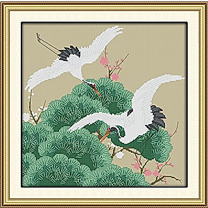 Beginner Cross Stitch Kits of White Crane Birds Stamped Cross-Stitch Supplies Needlework Bird DIY 14CT 2 Strands Cotton Thread Printed DIY Needlepoint Kits DMC Craft Needlework Set 34×34cm