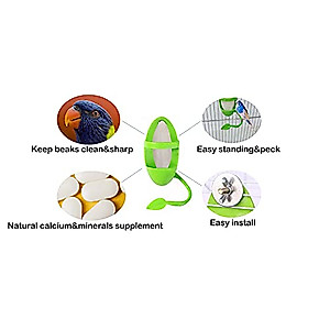 OSWINMART Cuttlefish Bone with Holder (1+2) Sets for Birds Handcraft Polish Cuttlebones Treat Feeder Food Basket for Fruit Vegetable Grain Wheat Stick Holder Suit Small to Regular Size Birds