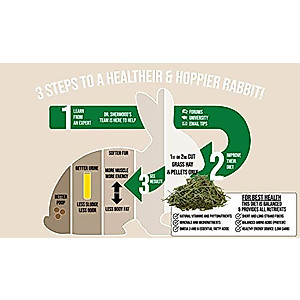 Sherwood Pet Health Professional Adult Rabbit Food (10 pounds)