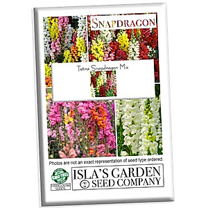 Tetra Mix Snapdragon Seeds for Planting, 2000+ Flower Seeds Per Packet, (Isla's Garden Seeds), Non GMO & Heirloom Seeds, Scientific Name: Antirrhinum majus, Great Home Garden Gift