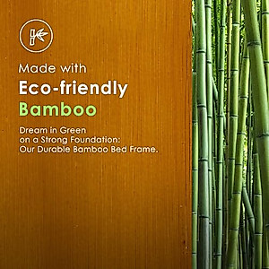 Mellow Asher 14 Inch Bamboo Wood Bed with Wooden Slats, No Box Spring Needed, Easy Assembly, Twin, Natural Platform