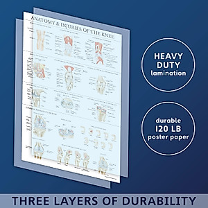 Palace Learning 2 Pack - Anatomy and Injuries of The Knee & Hip Poster Set - Anatomical Chart Set - Laminated 18" x 24"
