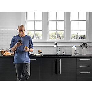 Peerless P7935LF Parkwood Single Handle Pulldown Kitchen Faucet Pull-Down, Chrome