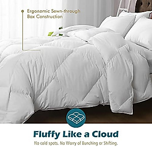 Cobnom Organic Feathers Down Comforter Queen Size, All Season Feathers Down Duvet Insert, Soft 100% Cotton Covered Bed Comforter Insert with Ties, Ivory White, 90x90