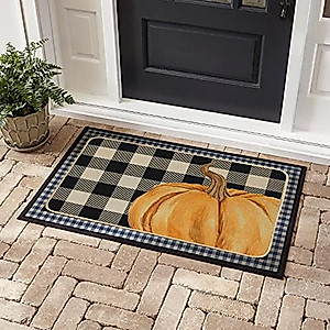 Fall Pumpkin Decorative Doormat 17 x 29 Inch, Thanksgiving Seasonal Autumn Harvest Vintage Door mat Rustic Yard Farmhouse Rugs for Indoor Outdoor Entrance Floor