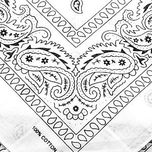 Arctic Fish Red Bandanas Face Mask For Men Women 8 Pack Cotton Multi-function Face Hair Headband (18PCS)