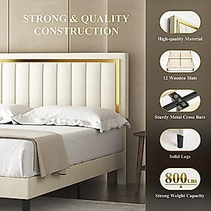 Origeture Queen Platform Bed Frame with Adjustable Headboard, Velvet Upholstered Queen Bed Frame Modern with Wooden Slats & Gold Tufted, Heavy Duty, Easy Assembly, No Box Spring Needed, Beige