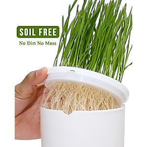 BENPIN 2Pcs Hydroponic Cat Grass Planter (no Seeds Included), Soil Free, No Dirt No Mess No Smell, Anti Digging Design, Easy to Plant Cat Grass Kit, Cat Grass for Indoor Cats Pets (Matte White)