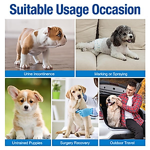 Pet Soft Disposable Male Dog Wraps - Dog Diapers for Male Dogs, Puppy Diapers 72pcs Small