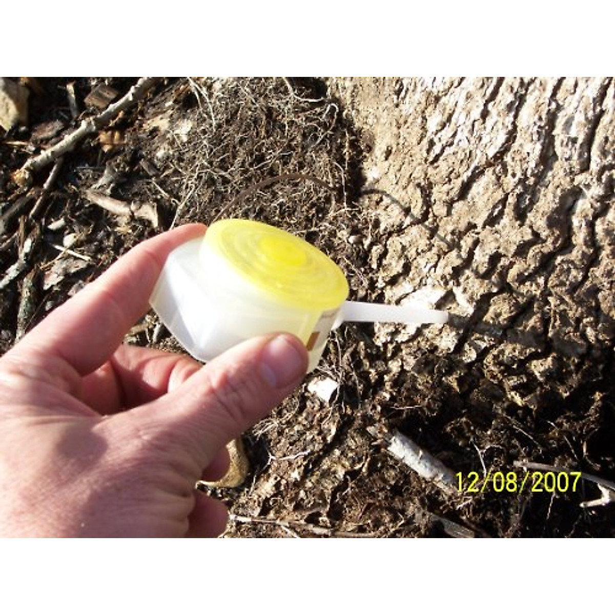 Mauget Imisol 4ml, Tree Injector Combination of Insecticide & Fungicide, Containing Imidacloprid & Debacarb (Imicide, Fungisol)