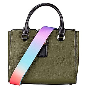 Allzedream Crossbody Bag Strap Adjustable Replacement Purse Straps (Gradients)