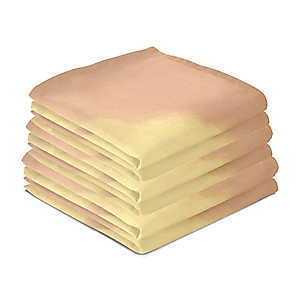 senya Kitchen Towels 4 Pack Kitchen Dish Towels Reusable Cleaning Cloths American Native Absorbent Tea Towels Machine Washable Hand Towels