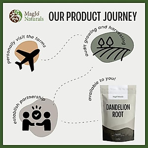 MagJo Naturals Dandelion Root, Raw, Not Roasted, Loose Tea (200+ Cups) (16 oz) 100% Wild-Crafted from Eastern Europe