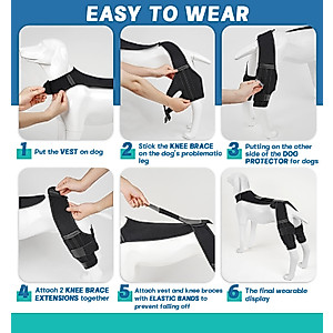 Petdream Dog Knee Brace with Vest, Support Dog Acl Brace for Hind Leg Torn, Adjustable Dog Rear Leg Braces for Cruciate Ligament Injury, Joint Pain Relief and Arthritis (Double, 3)