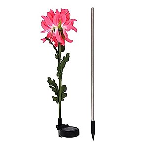 Yuehuam Solar Garden Stake Lights, Solar Powered Flower Garden Lights Decorative Pathway Light Outdoor Waterproof for Flowerbed Garden, Patio, Backyard Decoration(Red)