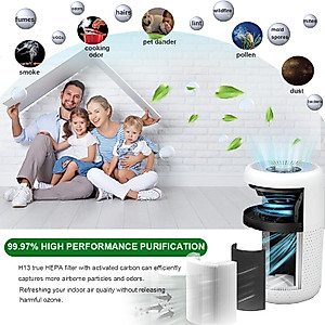 Skydiras 4 Pack P60 True HEPA Filter Replacement, Compatible with TPLMB P60 Air Purifier and nd Vhoiu KJ50 Air Cleaner Purifier, Part Number P60-RF, 3-Stage H13 True HEPA Filter