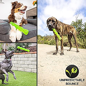 Hyper Pet Dura-Squeaks Stick Dog Toy, Large