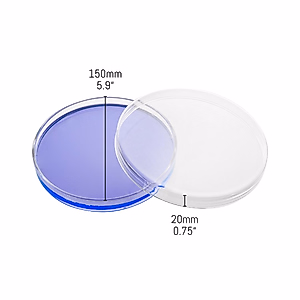 EISCO Petri Dish, 5.9" (150mm) - Beaded Edges Easy to Sterilize for Repeated Use Borosilicate Glass- Eisco Labs