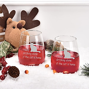 It's Not Really Drixking Alone If The Cat is Home Wine Glass Set of 2, Funny Cat Lover Stemless Wine Glass Set, Unique Christmas, Birthday, Housewarming Gift for Wine Lovers, Friends, Women, Men 15Oz