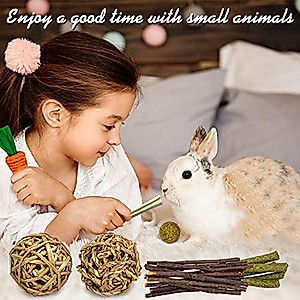 KIROYAL Rabbit Chew Toys Guinea Pig Toys Bunny Toys Natural Timothy Hay Sticks Hamster Chew Toys for Teeth and Apple Sticks for Rabbits Chinchilla Ball Gerbil Toys