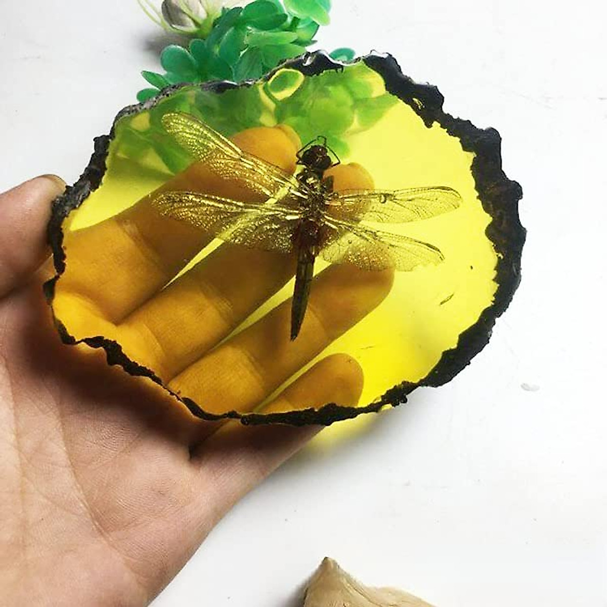 Amber Fossils Insect Samples Artificial Amber Insect Specimen Pendant Stone Decoration Crystal Samples Collection Science Education Dragonflies, Cicadas, Scorpions, Butterflies (4 Combinations)