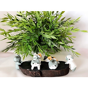 Neko 6pcs Miniature Home Fairy Garden Cats - Micro Kitty Landscape Ornament Decorations – Cute Lucky Cat DIY Figures for Crafts, Home Decor and Cake Topper