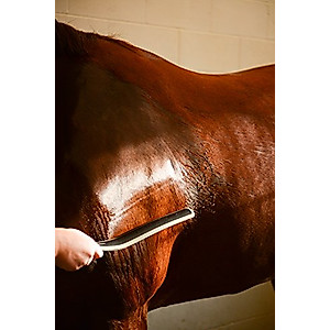 WAHL Professional Animal Equine Grooming Sweat Scraper Horse Tool, Black (858713)