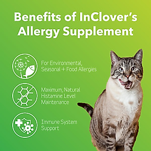 Dog Allergy Relief Supplement by InClover, BioResiliant Treat Powder Supplement for Dogs with Seasonal Allergies, Natural Dog Allergy Support with Turmeric, Mangosteen Helps Maintain Histamine Levels