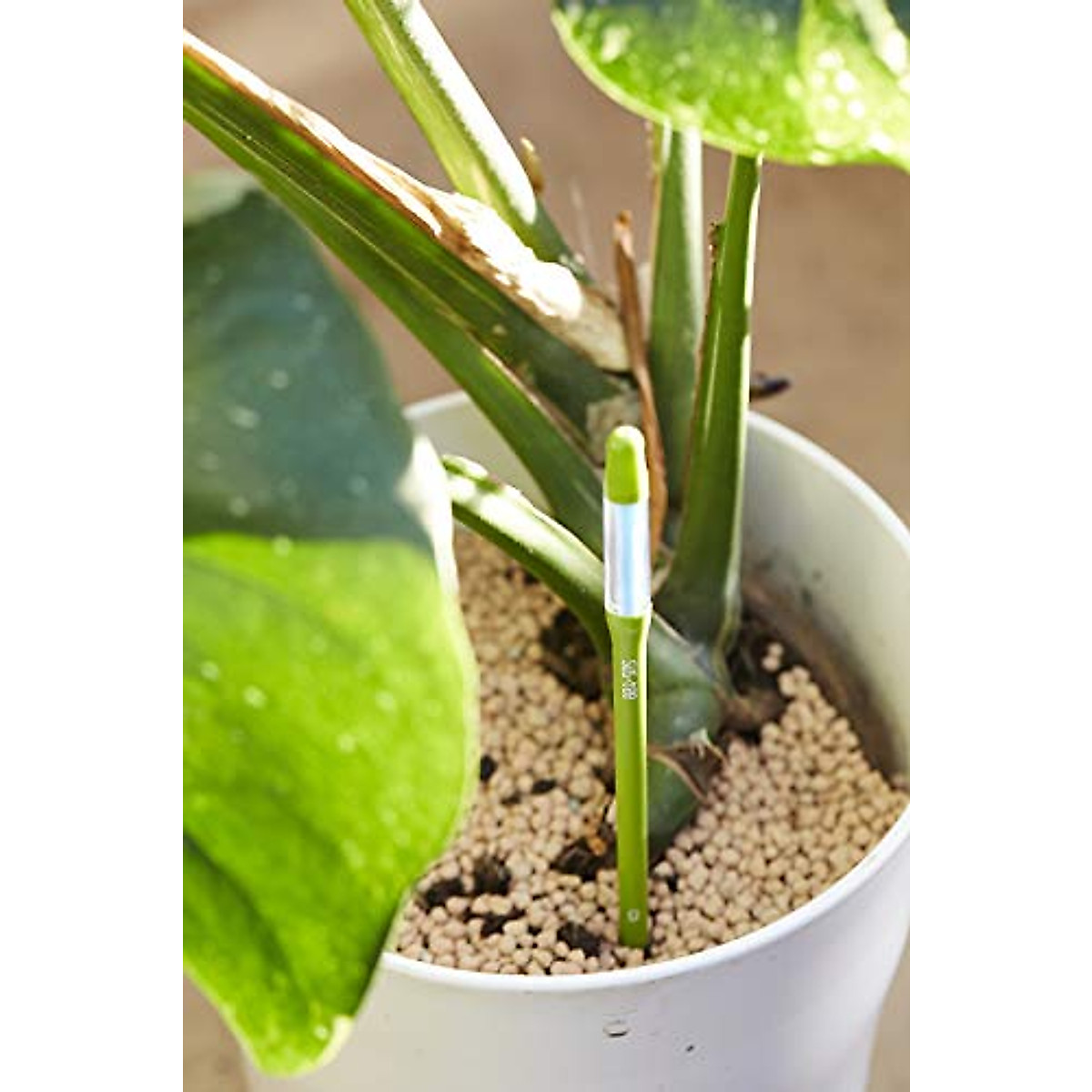 Sustee Aquameter, Set of 5, Plant Soil Moisture Sensor (Green, Small)