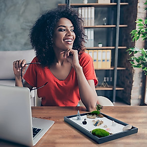 Ostranenie The Life Zen Garden Time, 11.8x8 inch Mini Zen Garden for Desk with Large Tray, 6-Rake Tool Set, and More Accessories for Relaxing Fidgeting, Enchanting Japanese Room Decor