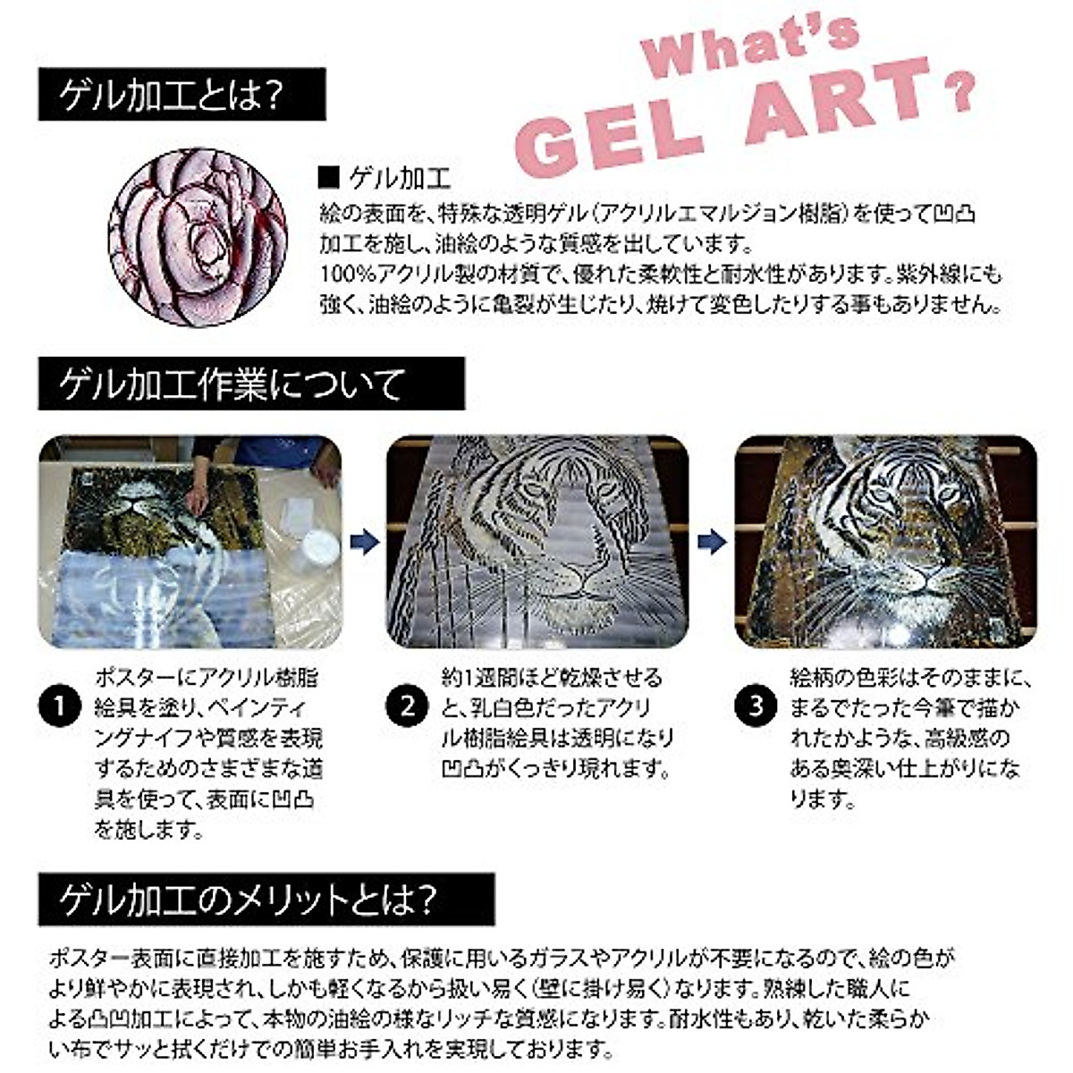 ユーパワー Eupower Peter Mots Gel Treated Art Frame Garden Flowers