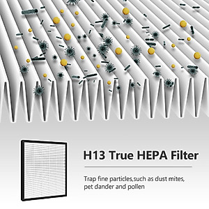 GoKBNY LV-PUR131 Replacement Filter Compatible with LV-PUR131 and LV-PUR131S Purifiers, LV-PUR131-RF, 2HEPA Filters + 2Activated Carbon Filters